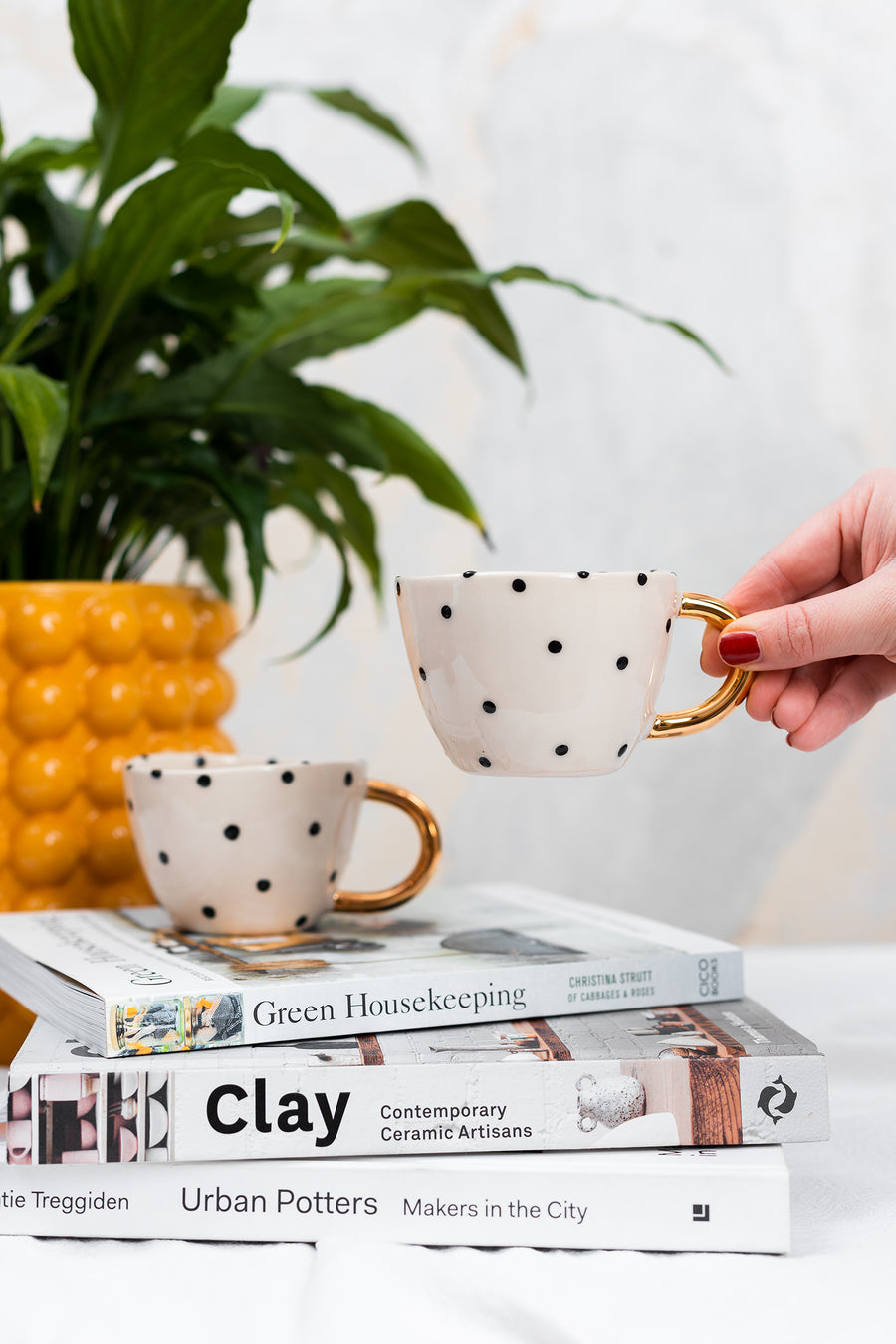 All – ChiaCups Studio