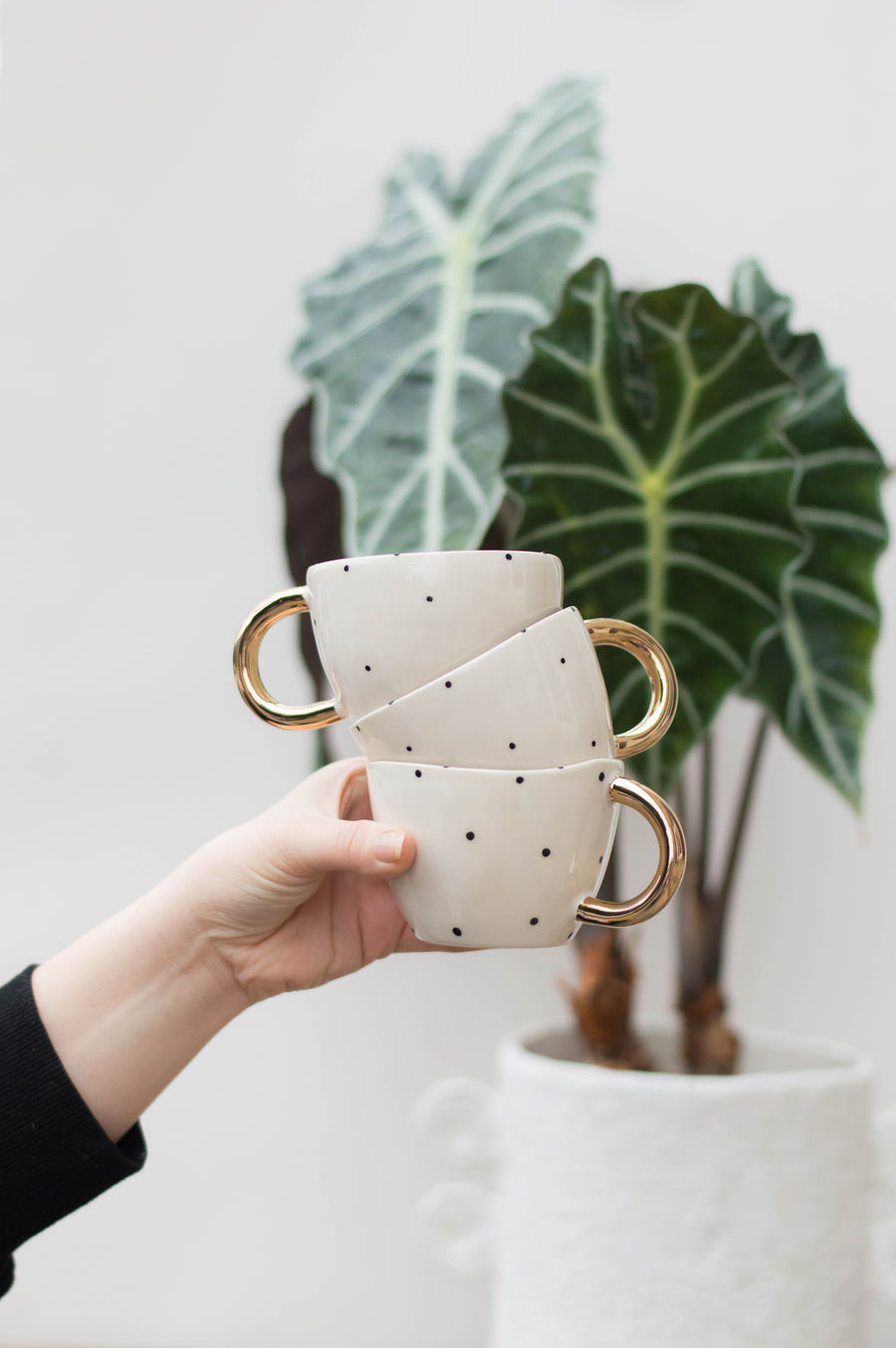 All – ChiaCups Studio